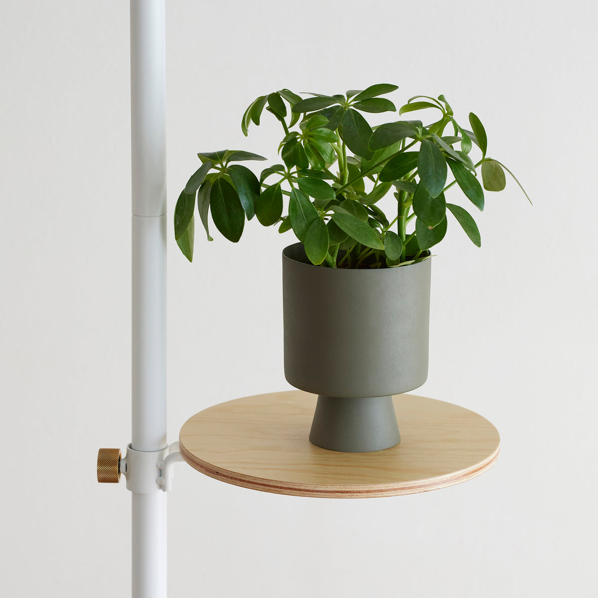 モリモリツリー SET White 取付寸法200～275cm SET-BASE2-WH｜平安伸銅工業オンラインショップ