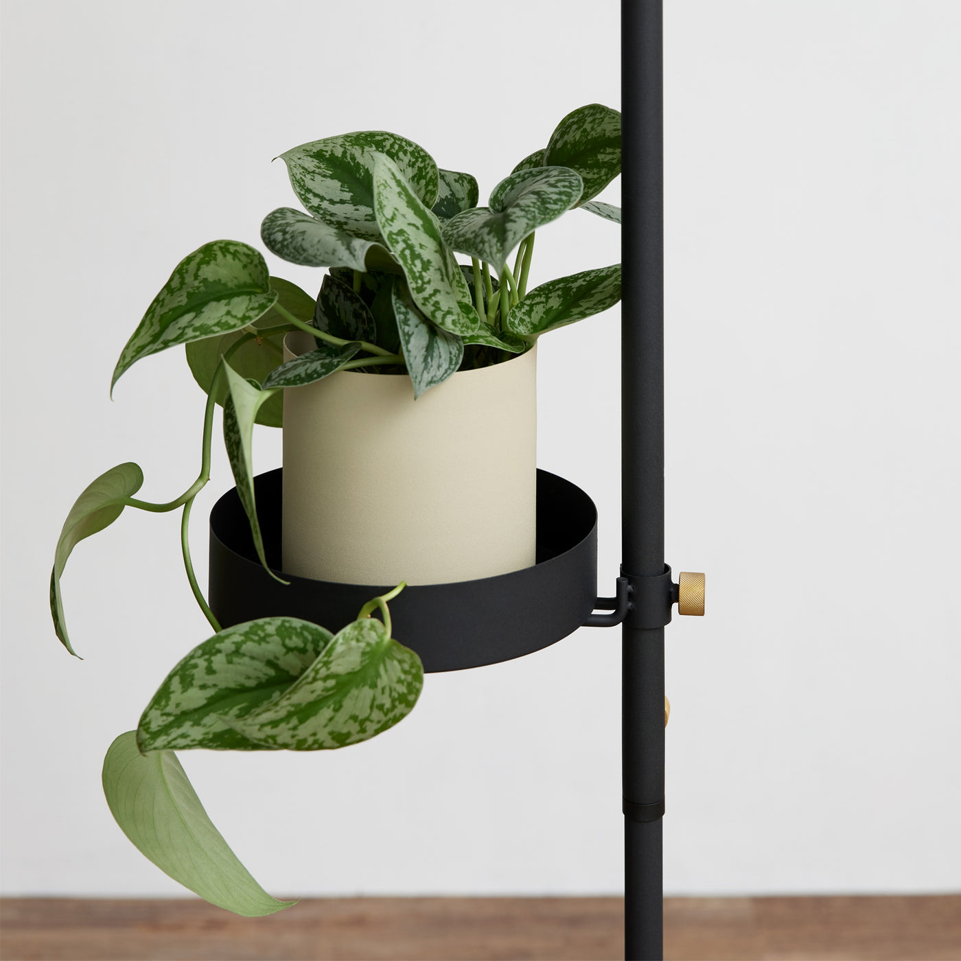 モリモリツリー SET Black 取付寸法200～275cm SET-BASE2-BK｜平安伸銅工業オンラインショップ