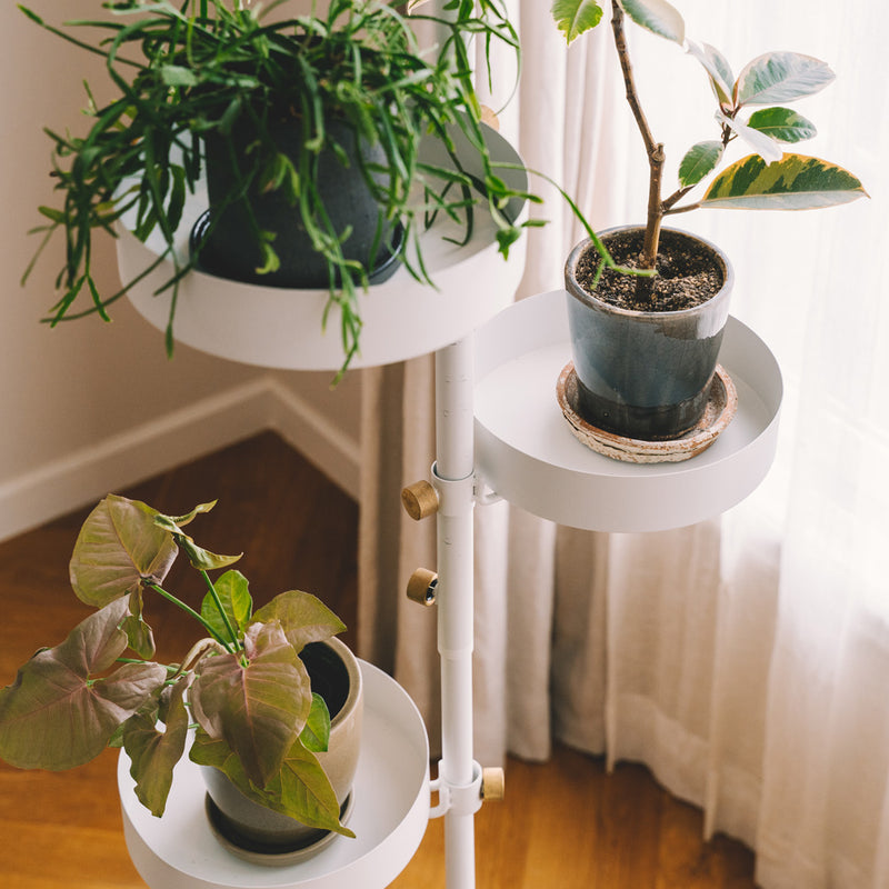 Tension Rod C White 200～275cm 縦取付 D-C-WH｜平安伸銅工業オンラインショップ